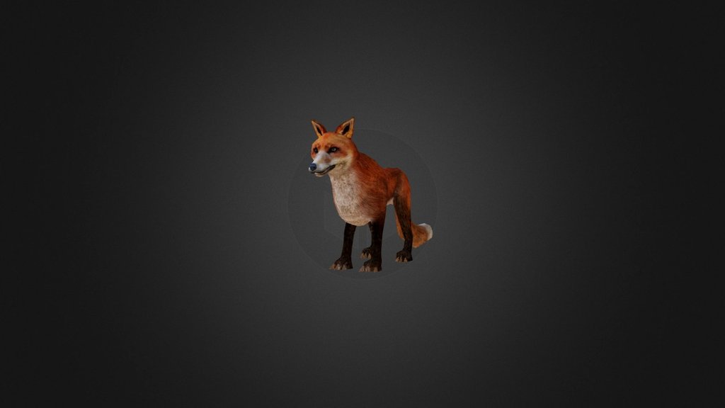 Fox Model & Animation - 3D model by NuttyApps (@t.k) [33158ec] - Sketchfab