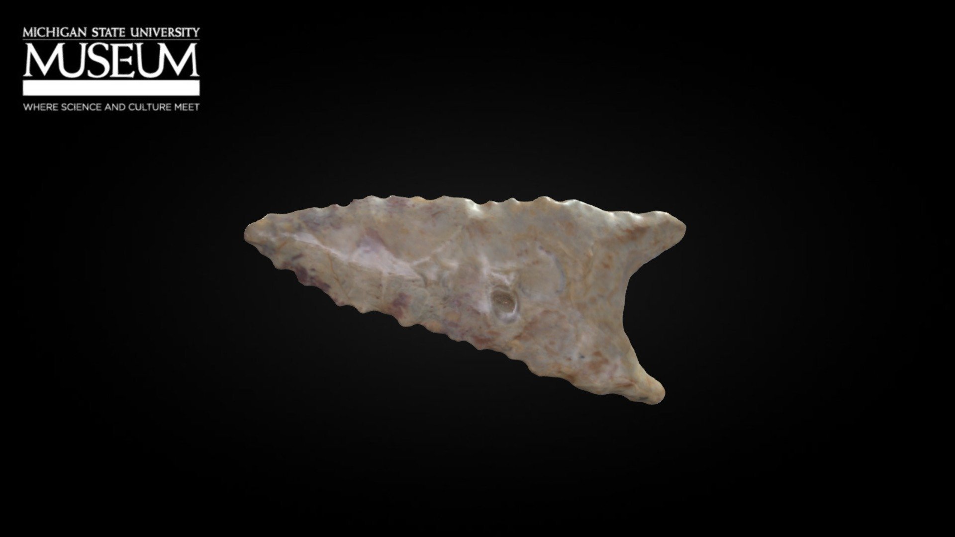 Dalton Projectile Point - Download Free 3D model by MSU DHI Lab ...