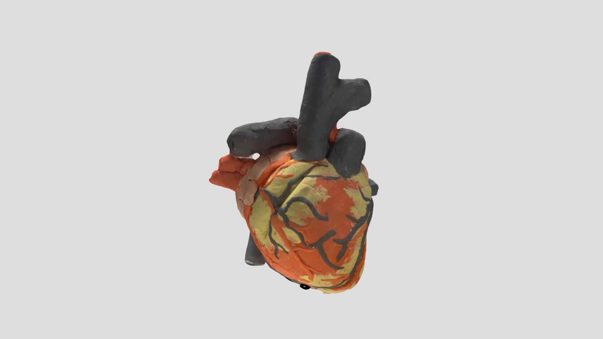 Heart Anatomy Model 2 - Download Free 3D model by zt274 (@zahraT ...