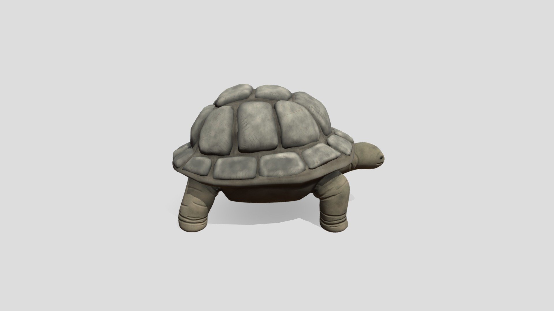 Tortoise PM - Download Free 3D model by Avidwilsonvi [33208aa] - Sketchfab