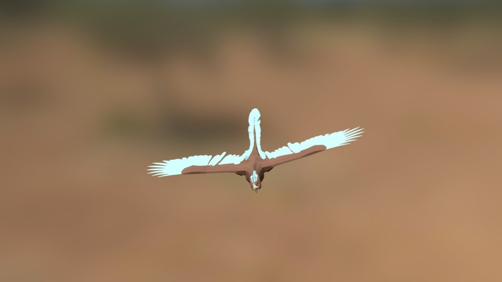 Seek Eagle - 3D model by illupo [33211a1] - Sketchfab