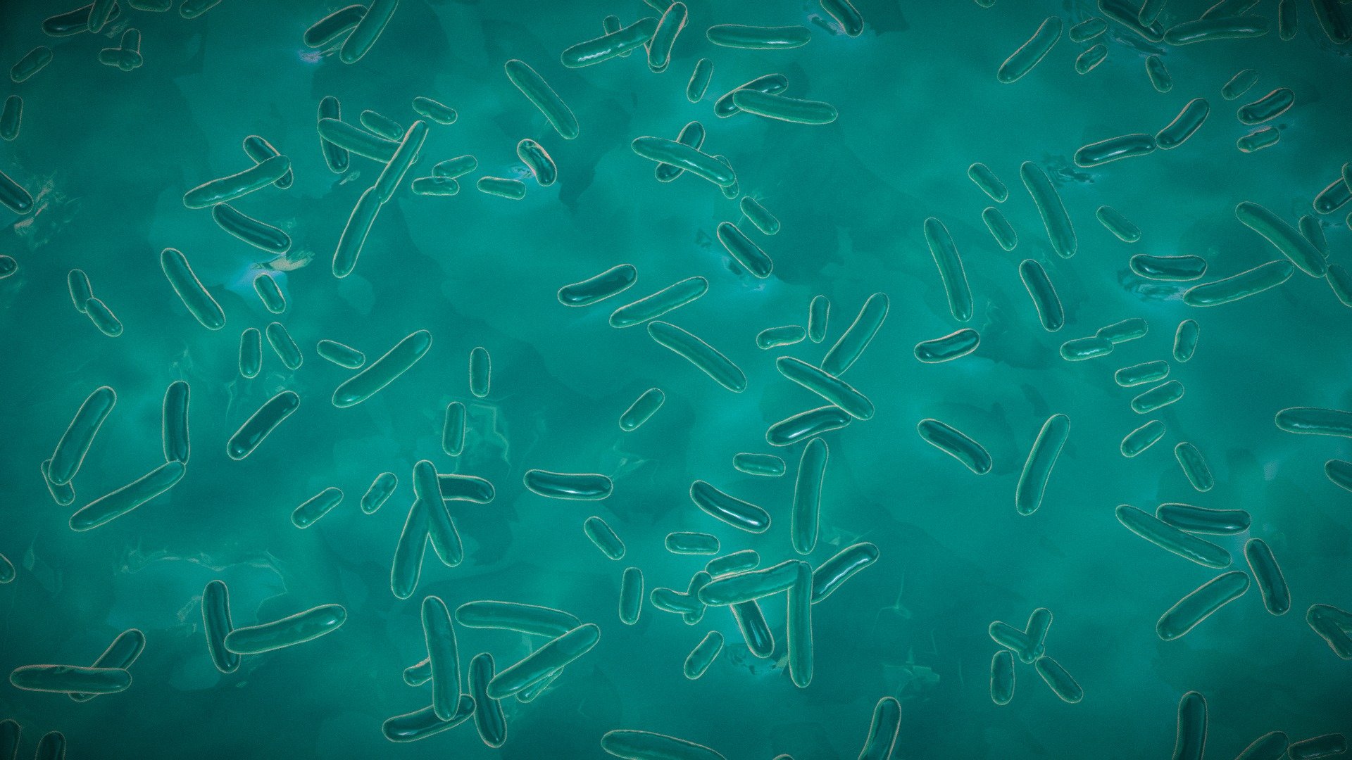 Bacteria - Buy Royalty Free 3D model by PARSONSARTS (@tomparsons ...