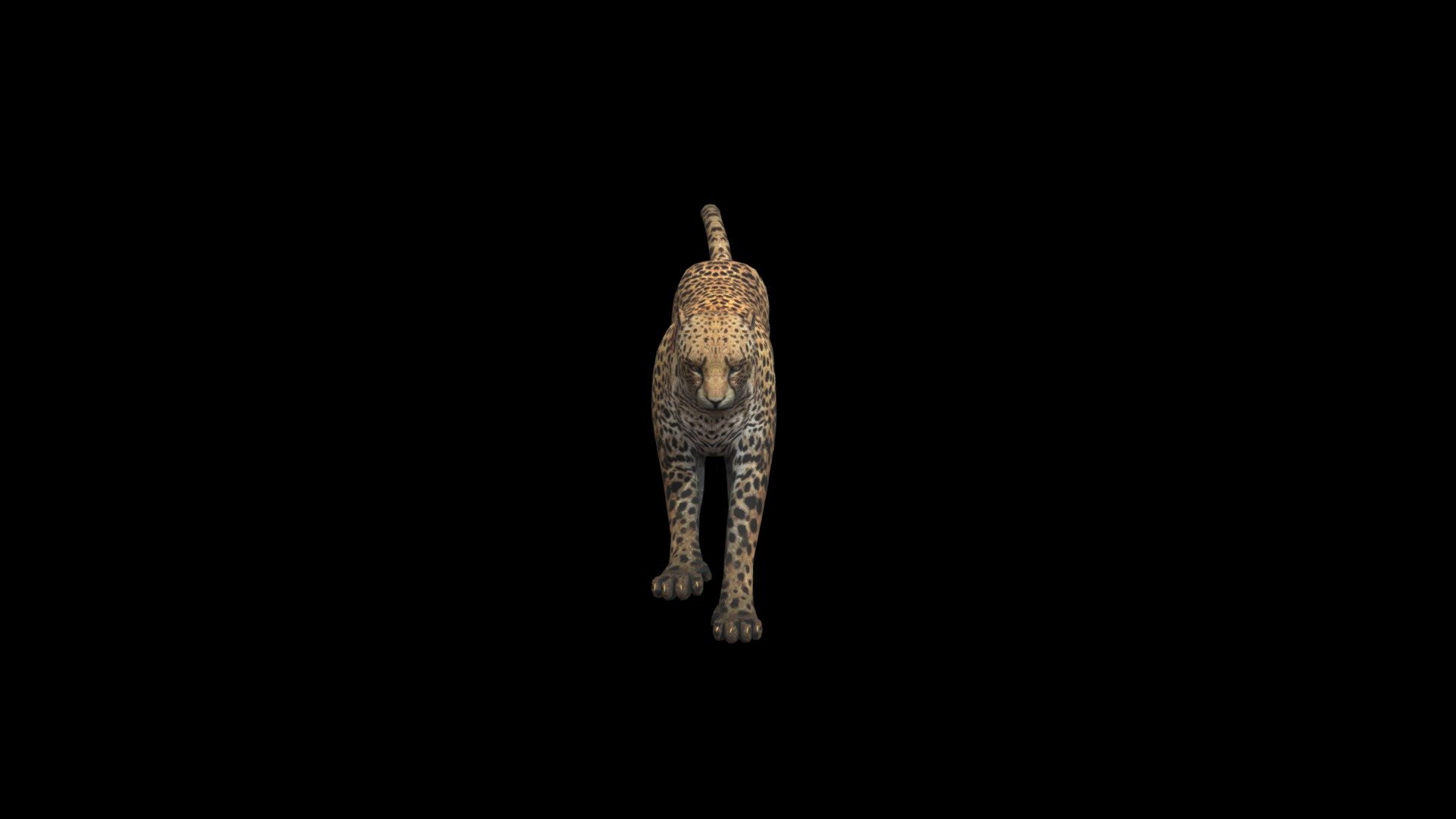 Liepard Run - 3D model by zippyzoomy1 [333eadf] - Sketchfab
