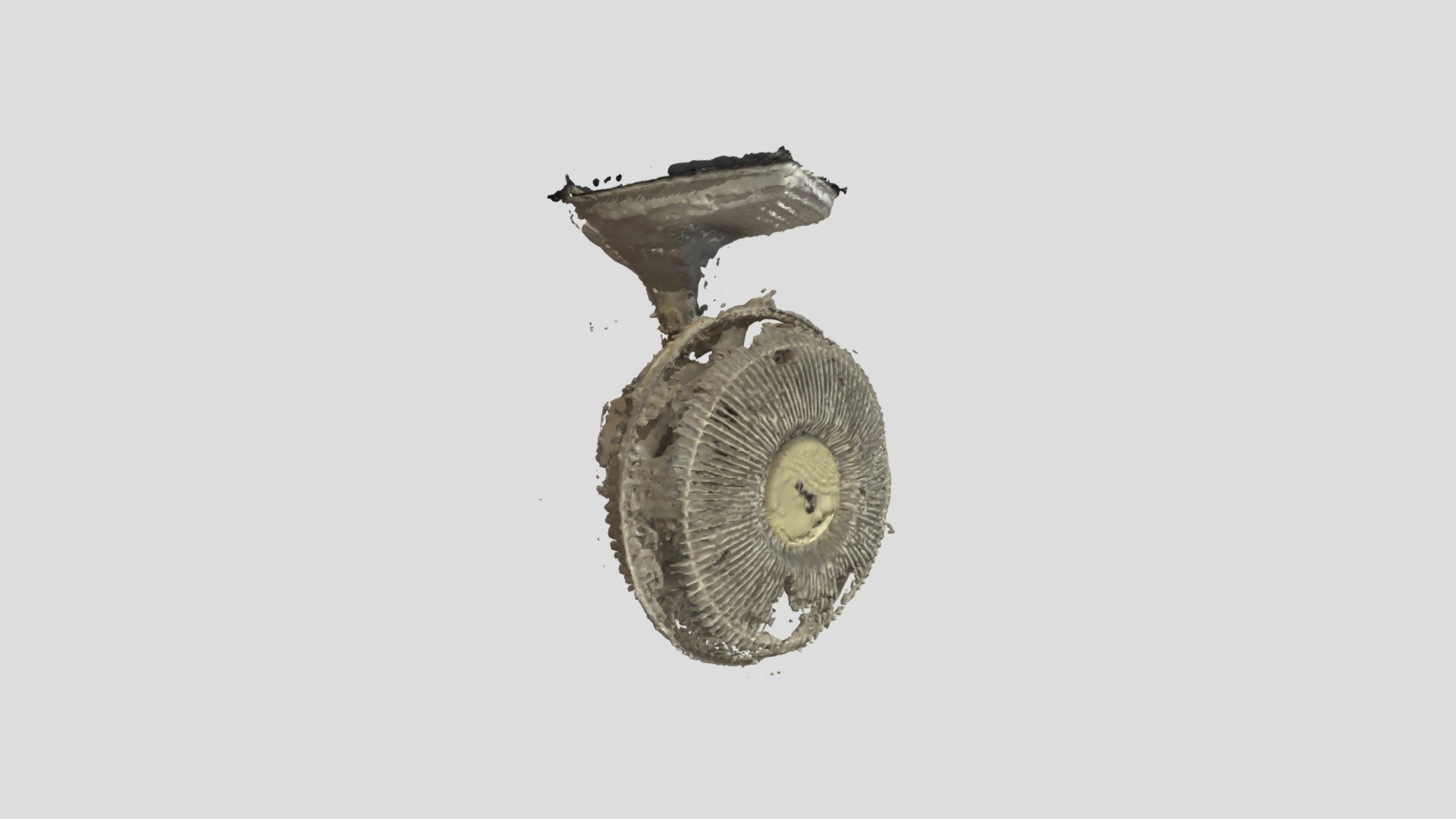 Fan - Download Free 3D model by Max Leblanc (@maxleblanc) [333f61d ...