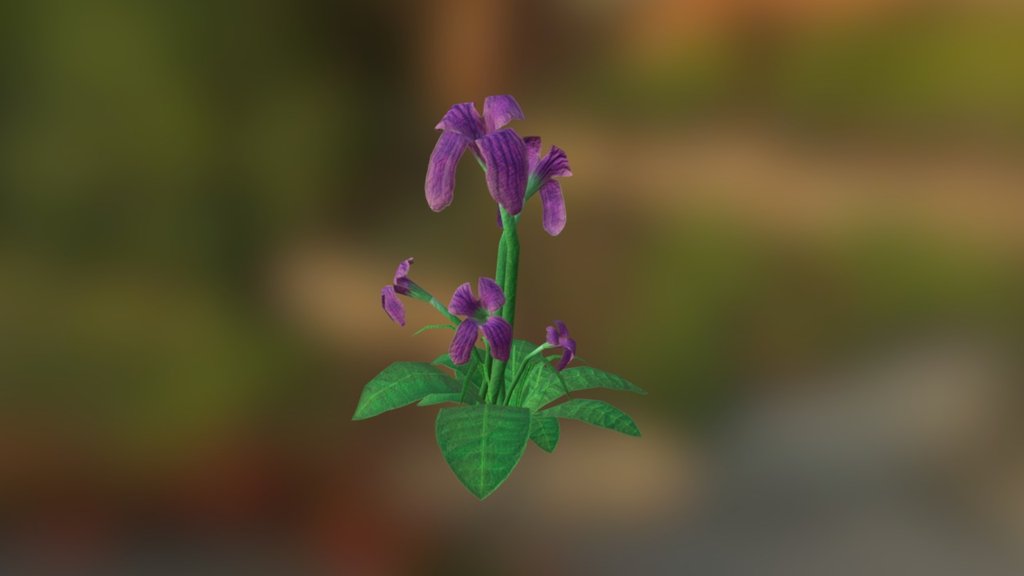 Flower - 3D model by Casey (@amphi) [3340918] - Sketchfab