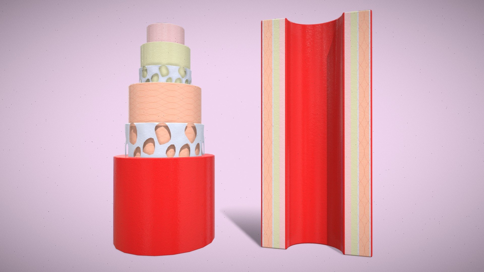 Cross section of artery - Download Free 3D model by arloopa [334b981 ...