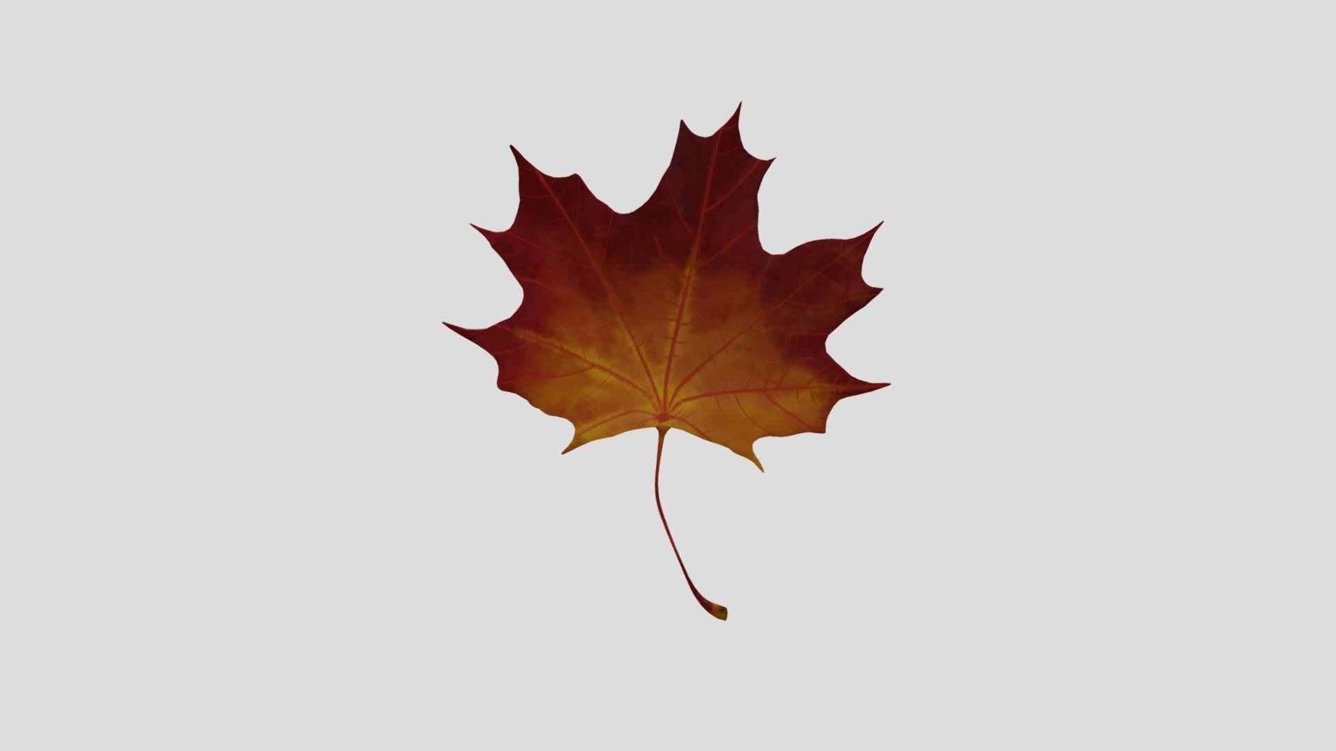 Daun Maple - 3D model by jihanal10 [334edaa] - Sketchfab