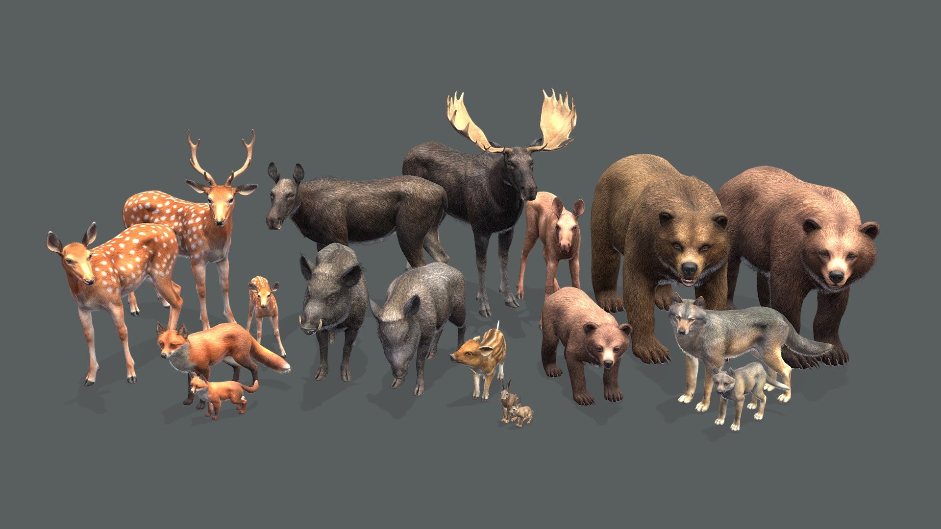 Wild Animals Pack 3.0 - 3D model by RedDeer (@billl90) [335f1cb ...