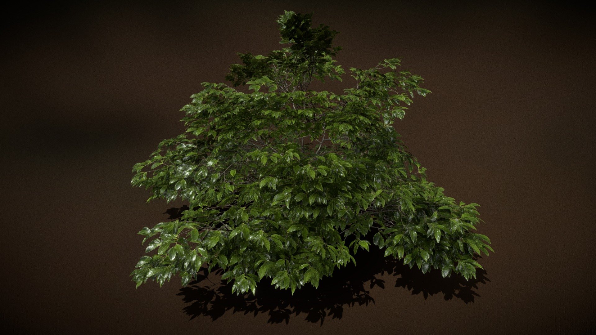 Realistic bush - Buy Royalty Free 3D model by Garecra [335fde7 ...