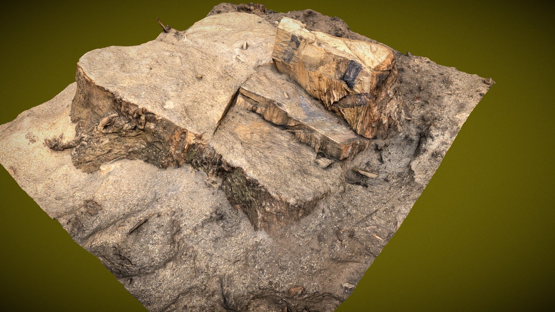 Stump 3 High Poly - Download Free 3D model by Alexandre González Rivas ...
