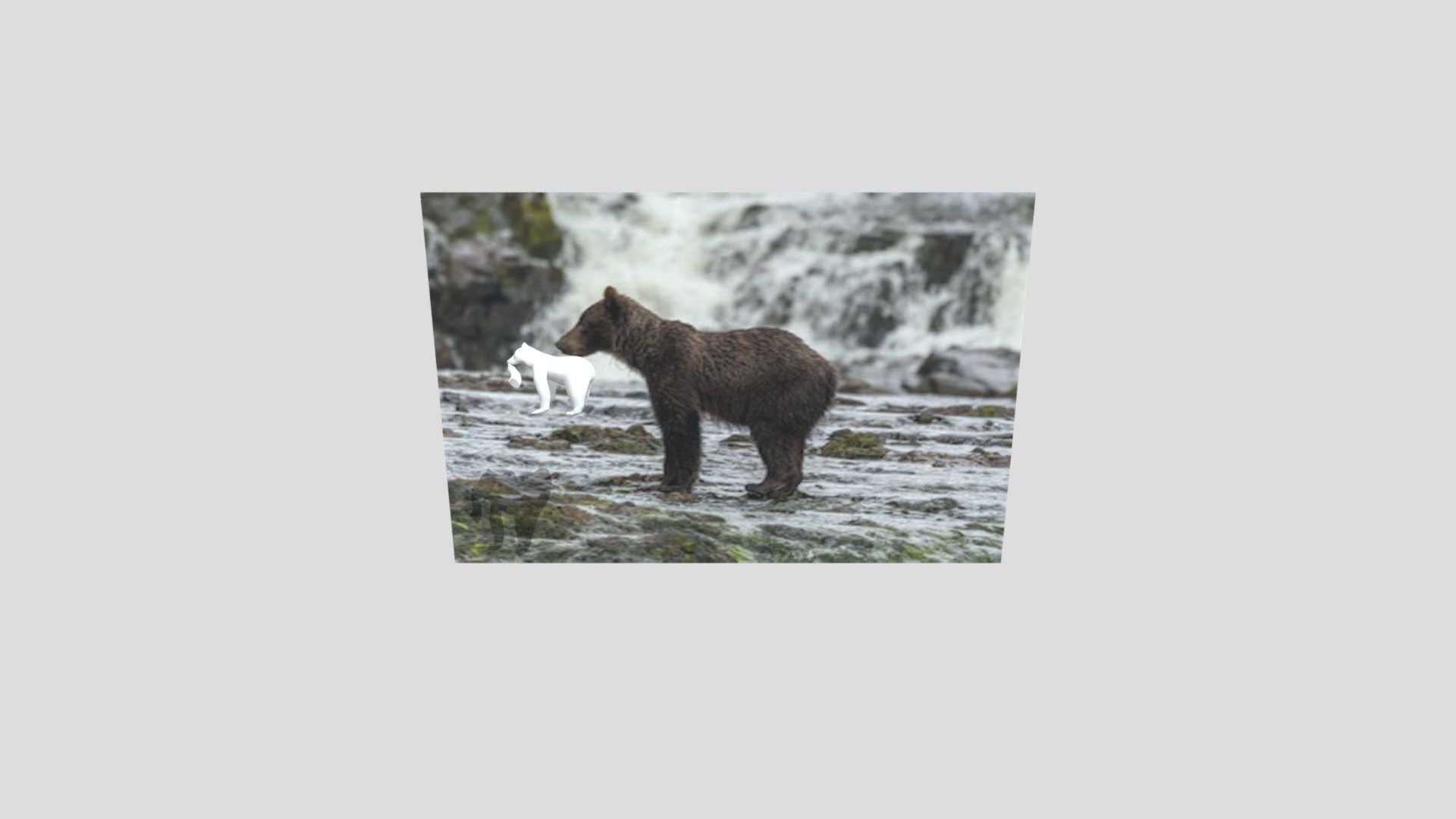 Bear1 - Download Free 3D model by smiled0g [336b3db] - Sketchfab