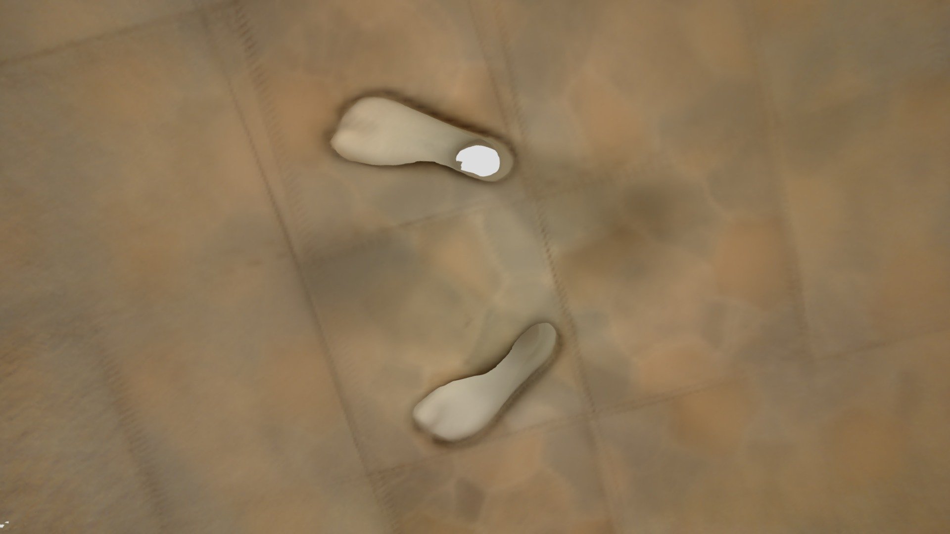 3D dummy feet scan - Download Free 3D model by Ricardo_Carlos [3371fb2 ...
