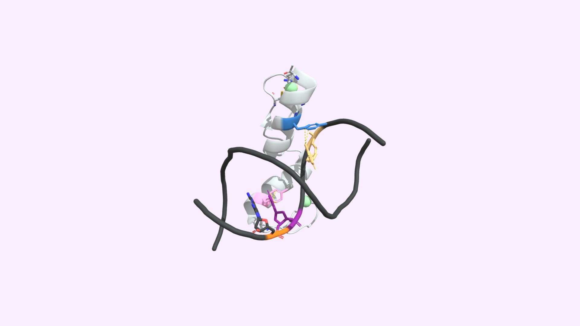 Structure Of Oncoprotein Znf217 Bound To Dna 3d Model By Lara Zannino [3373f7d] Sketchfab