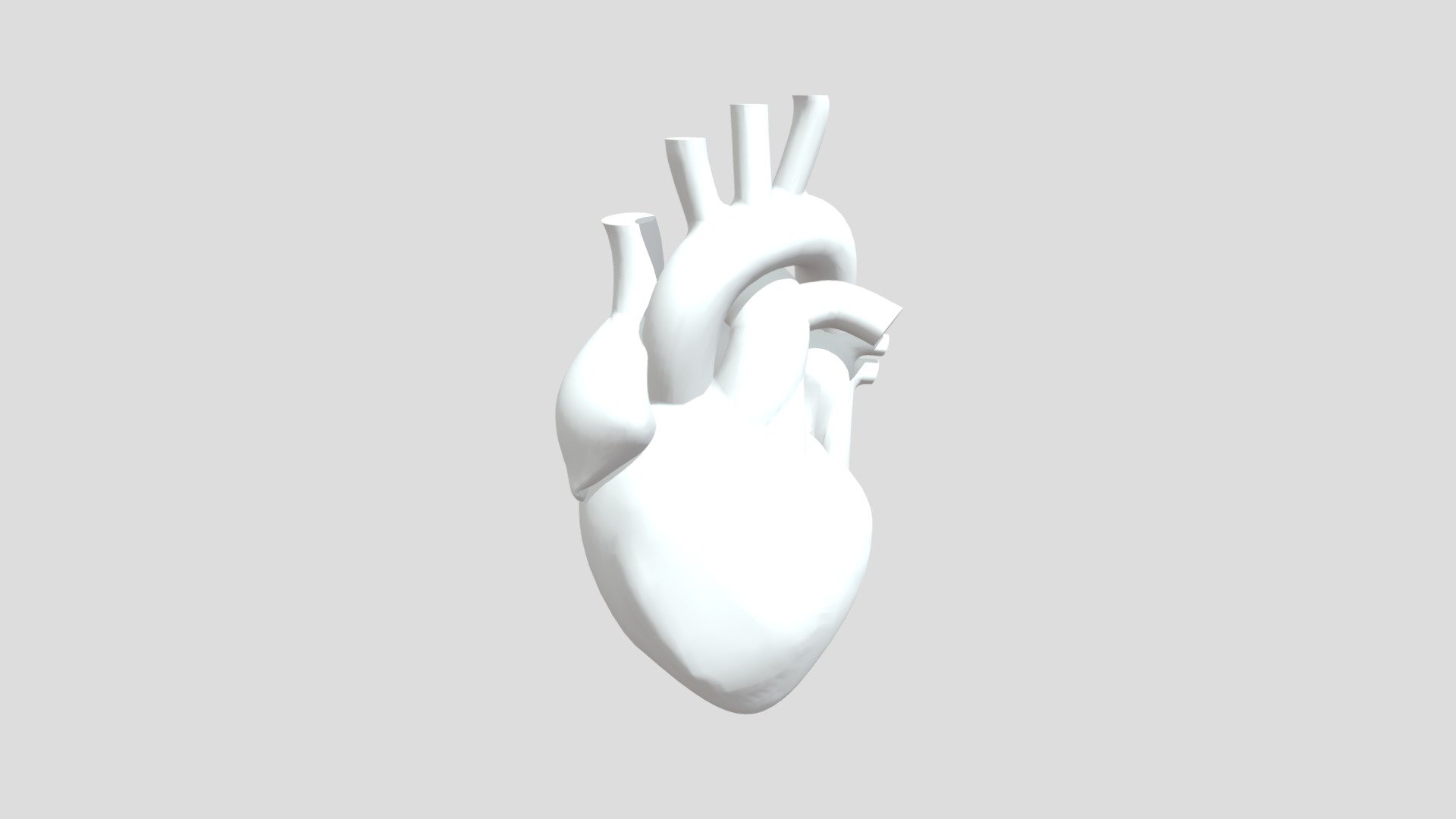 Model Of Human Heart - Download Free 3D model by riya9001 [337b25e ...
