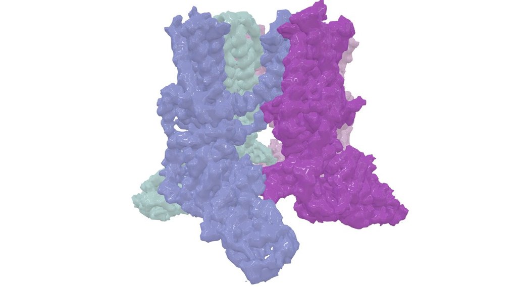 EMDB › EMD-6455 - 3D model by Interactive 3D Data (@proteinsimulation ...