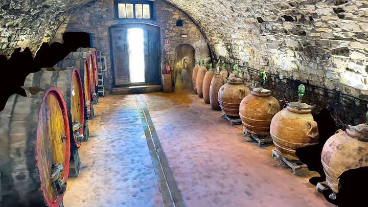 Vineyard 3D models - Sketchfab