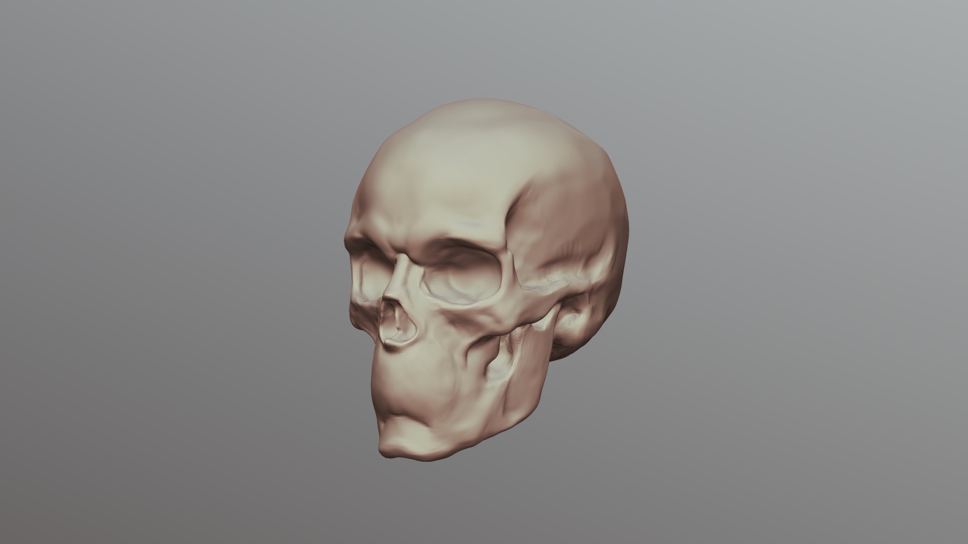 Simplified Skull - 3D model by LCAD ZBrush Resources (@donaldphan ...