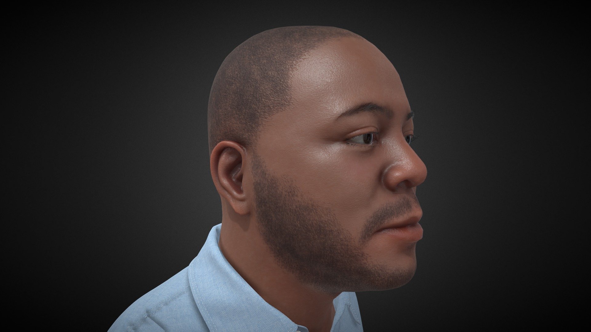 Realistic David Head PBR - 3D model by gustavoavila3d [33a15f8] - Sketchfab