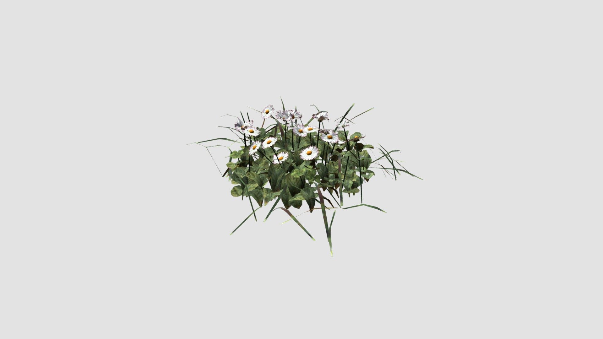 simple grass small - Buy Royalty Free 3D model by Evermotion [33a5ce1 ...
