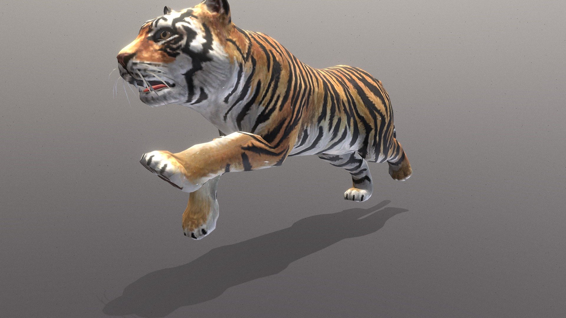TIGER RUNNING Fbx Pbr - 3D model by MEI TERUMEI (Curvy love ...
