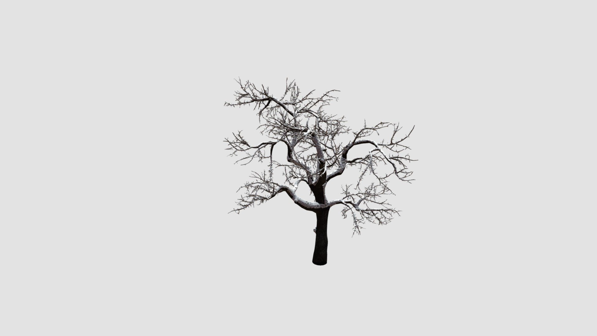 apple tree - Buy Royalty Free 3D model by Evermotion [33ab129 ...