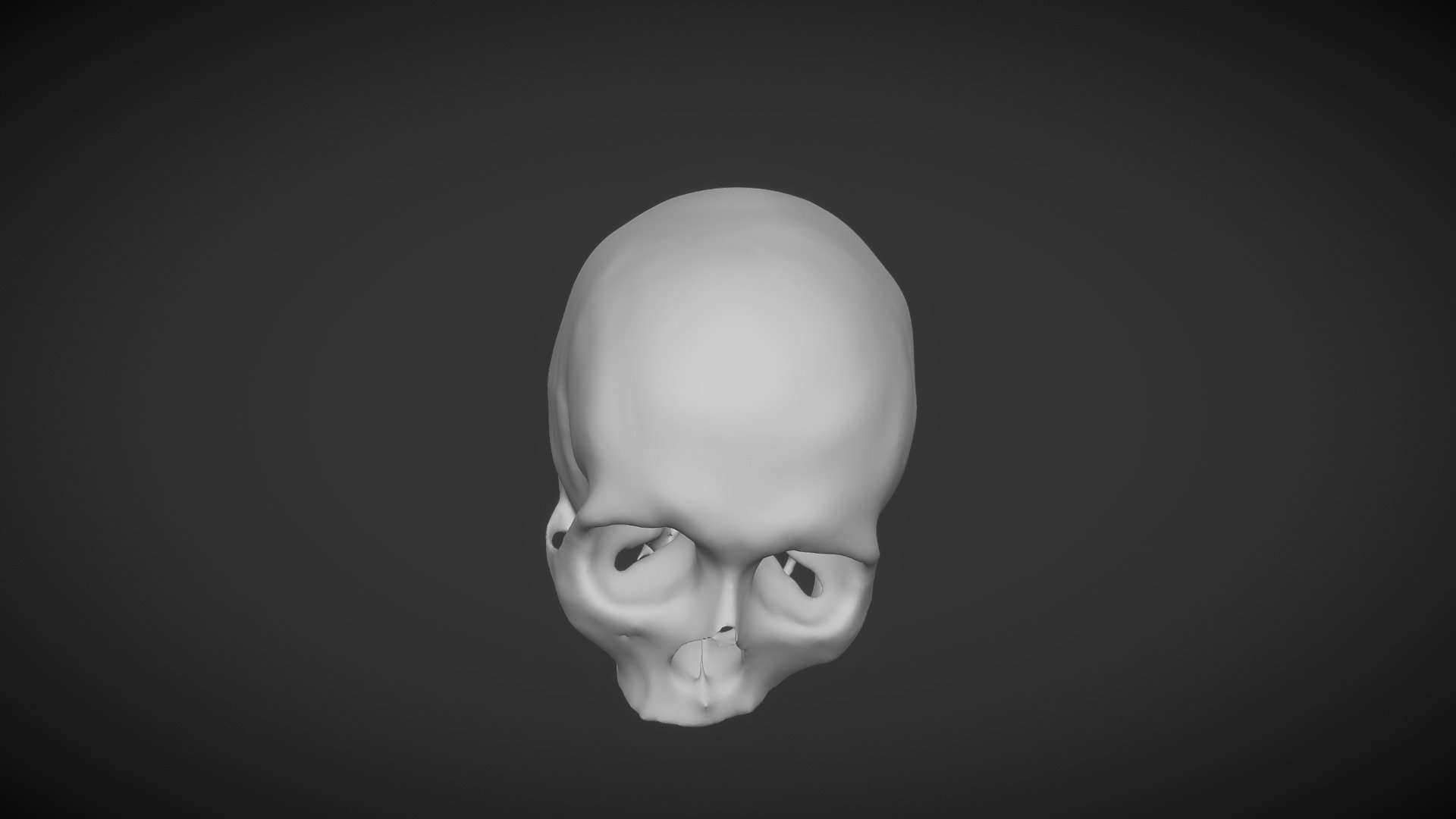 Skull - 3D model by Miray Uzunov (@MirayUzunov) [33b562b] - Sketchfab