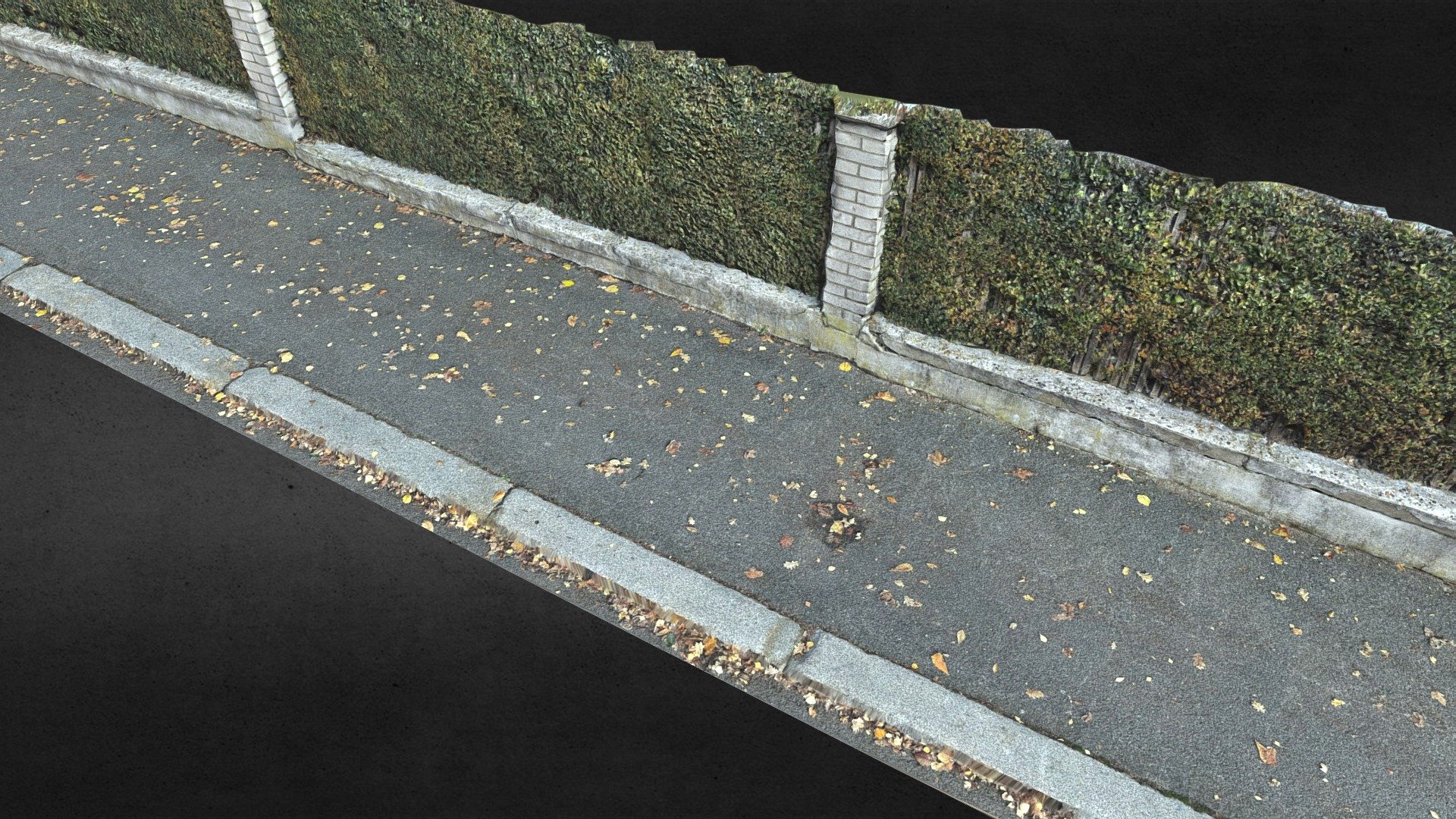 Asphalt sidewalk with hedge - 3D model by Tomhaj [33b6484] - Sketchfab