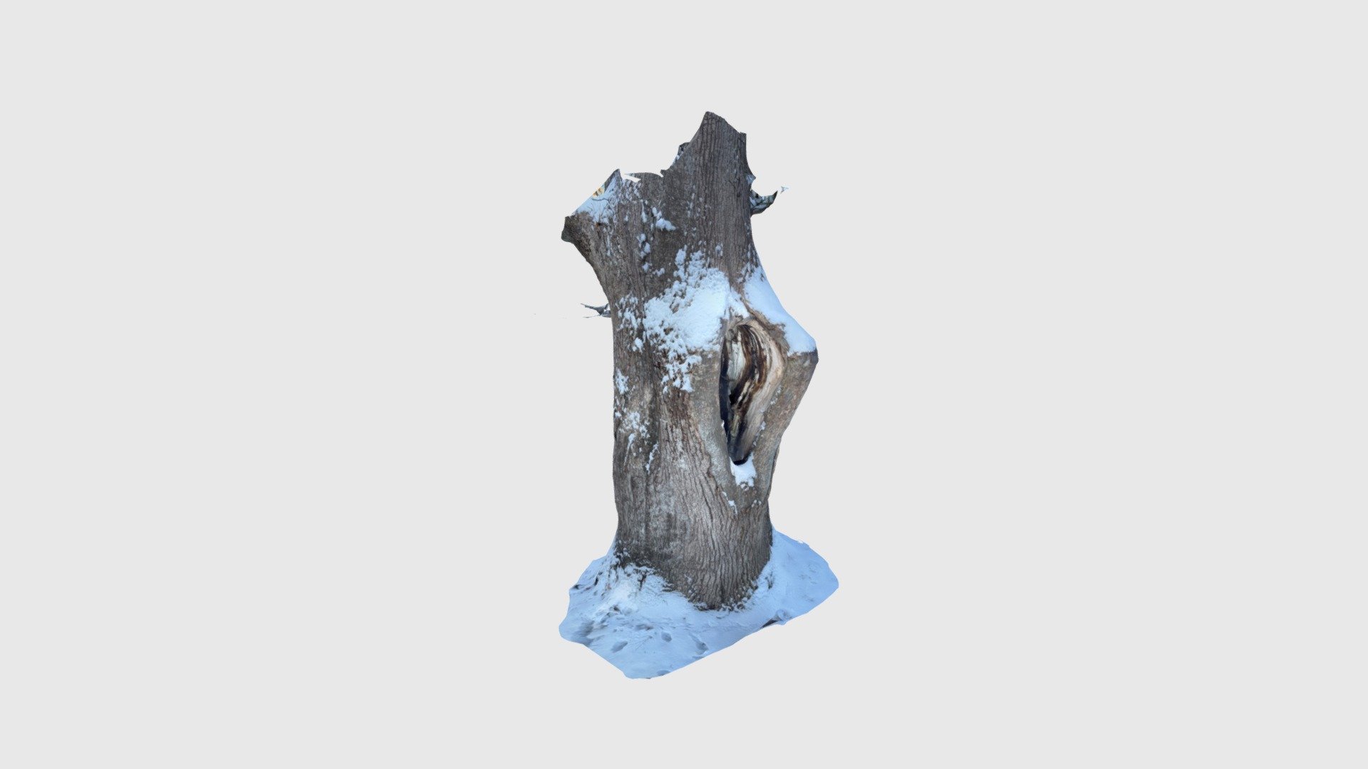 Old tree trunk with hole in it - Download Free 3D model by Foto.Pelka ...