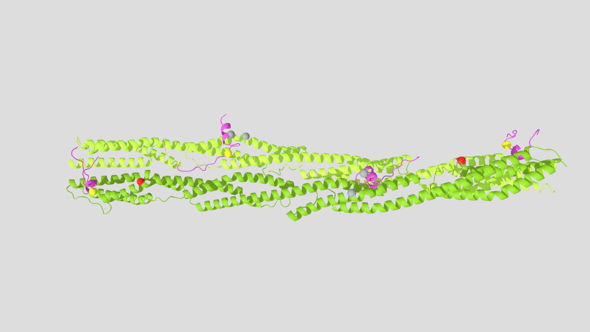 Crystal structure of α-actinin-2/FATZ-1 - rod - 3D model by kristina ...