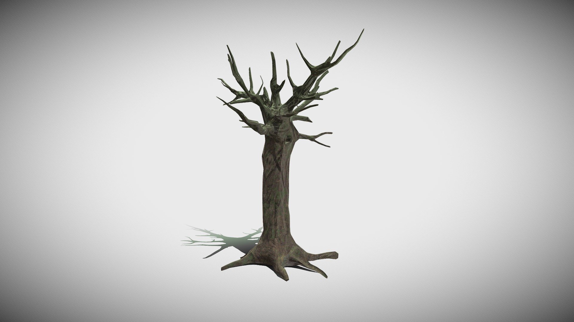 Dead Tree - Download Free 3D model by MaX3Dd [33ccce6] - Sketchfab