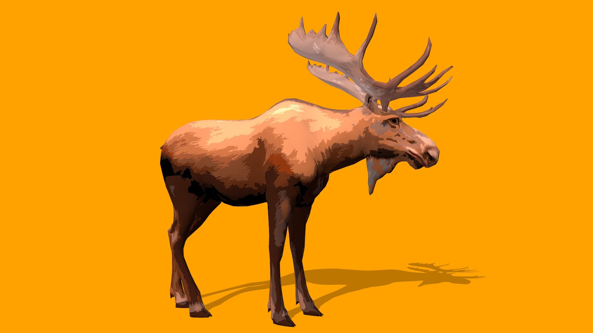 Moose Animated Cel Shading 3D Model - 3D model by WildMesh 3D ...