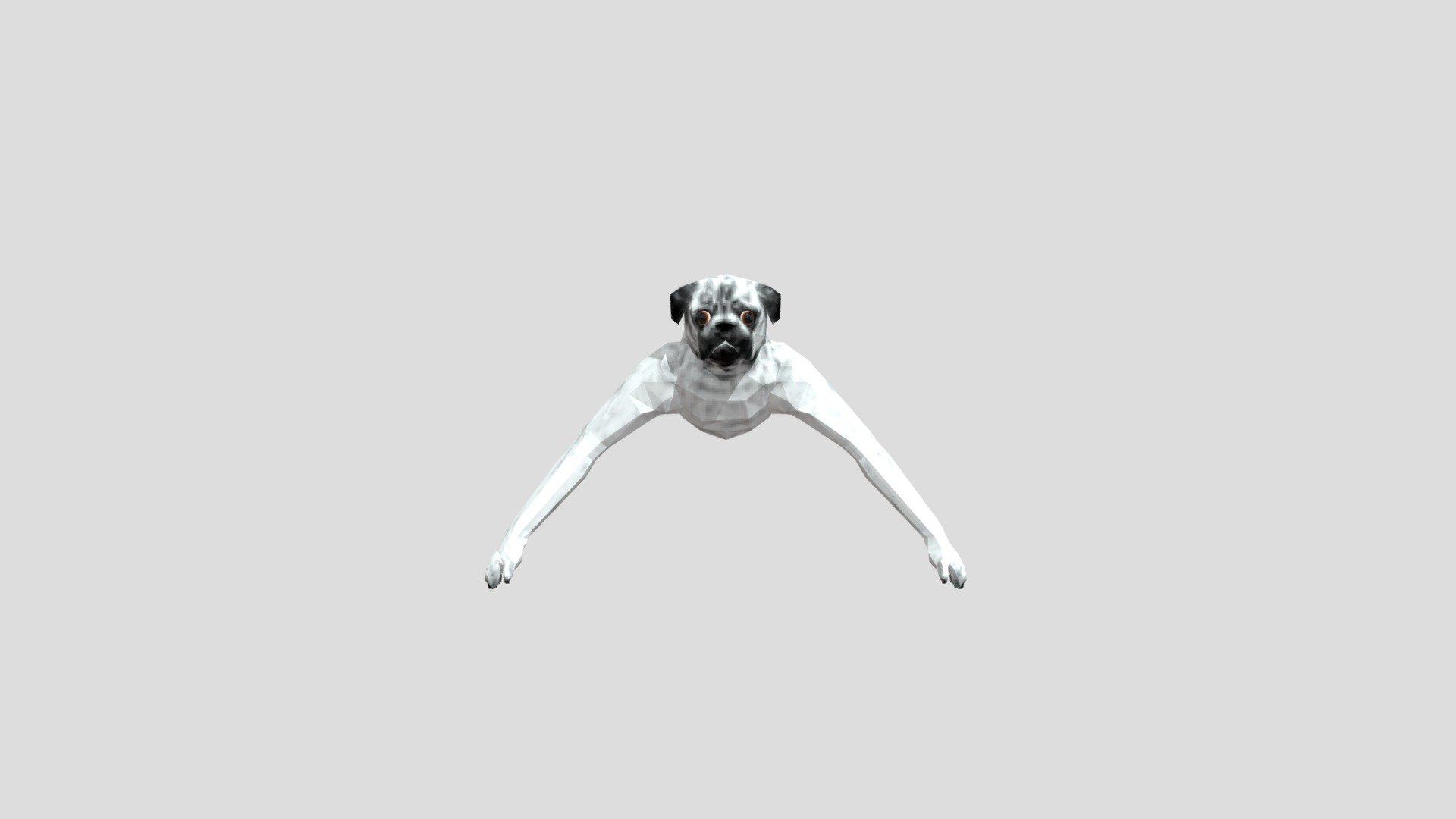 animal company - pug [BlendShapes] - Download Free 3D model by Romeo ...