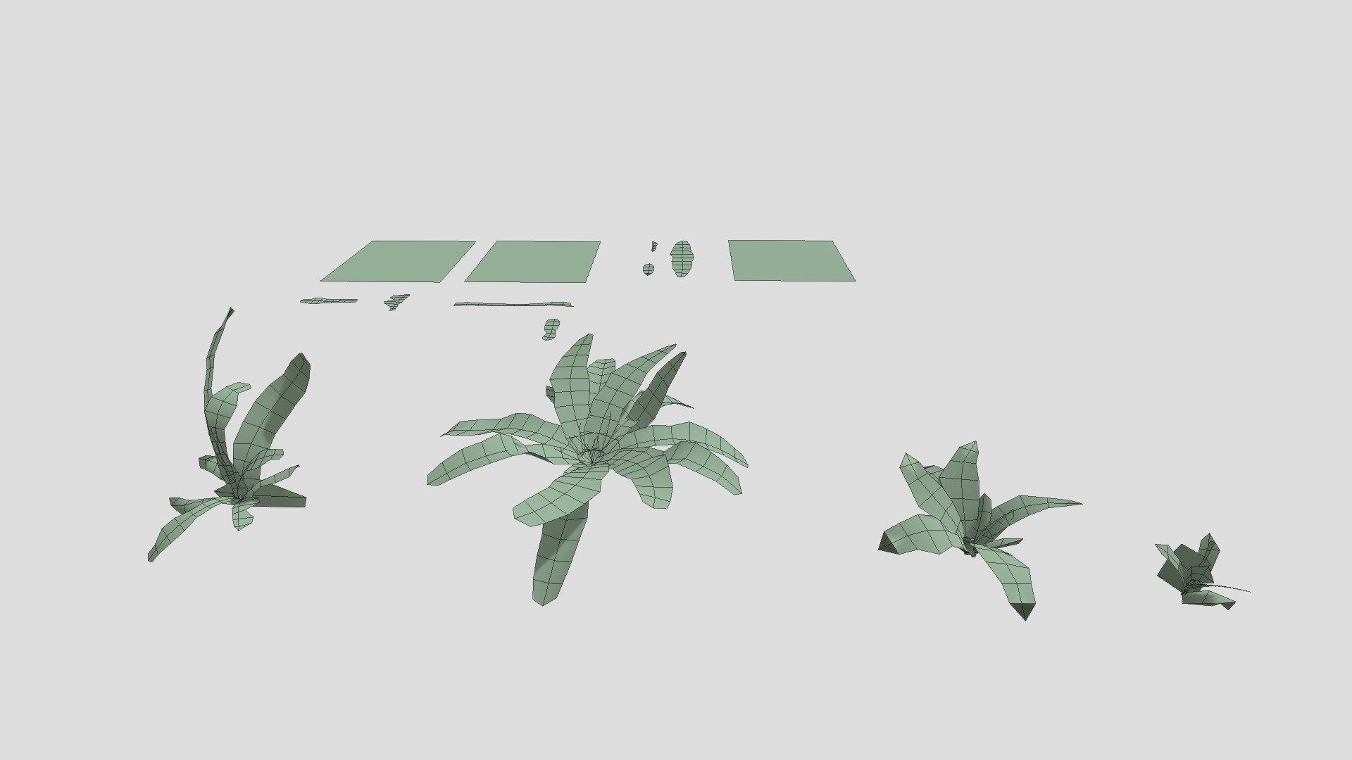 Plant Texture Exercise - 3D model by Steffes [33d2c94] - Sketchfab