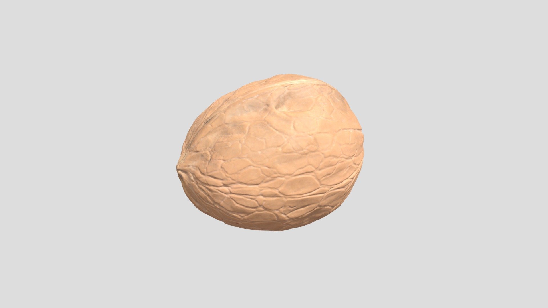 Walnut - Download Free 3D model by alexey.sleptsov [33d4e94] - Sketchfab
