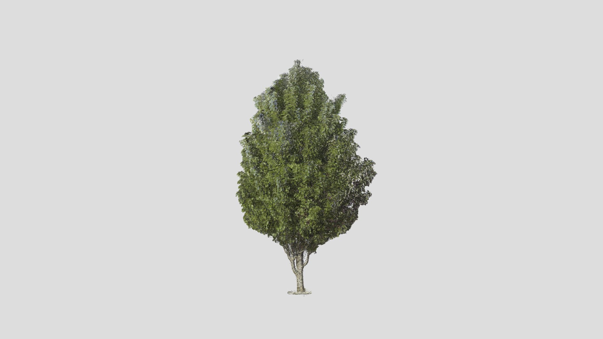 Tree Point Cloud - Buy Royalty Free 3D model by magnum_opus (@tree ...