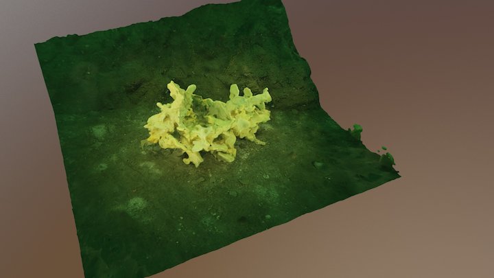 Cloudsponge 3D models - Sketchfab