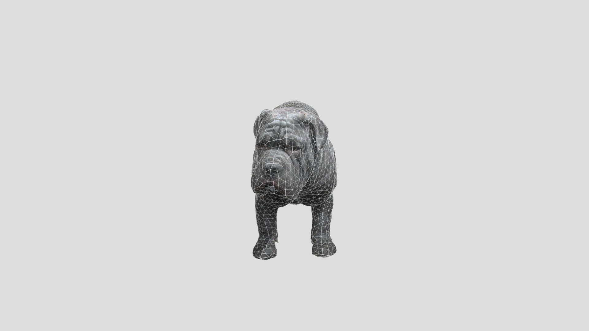 Dark_grey_neapolitan_mastiff - Download Free 3D model by Dakta.Grower ...