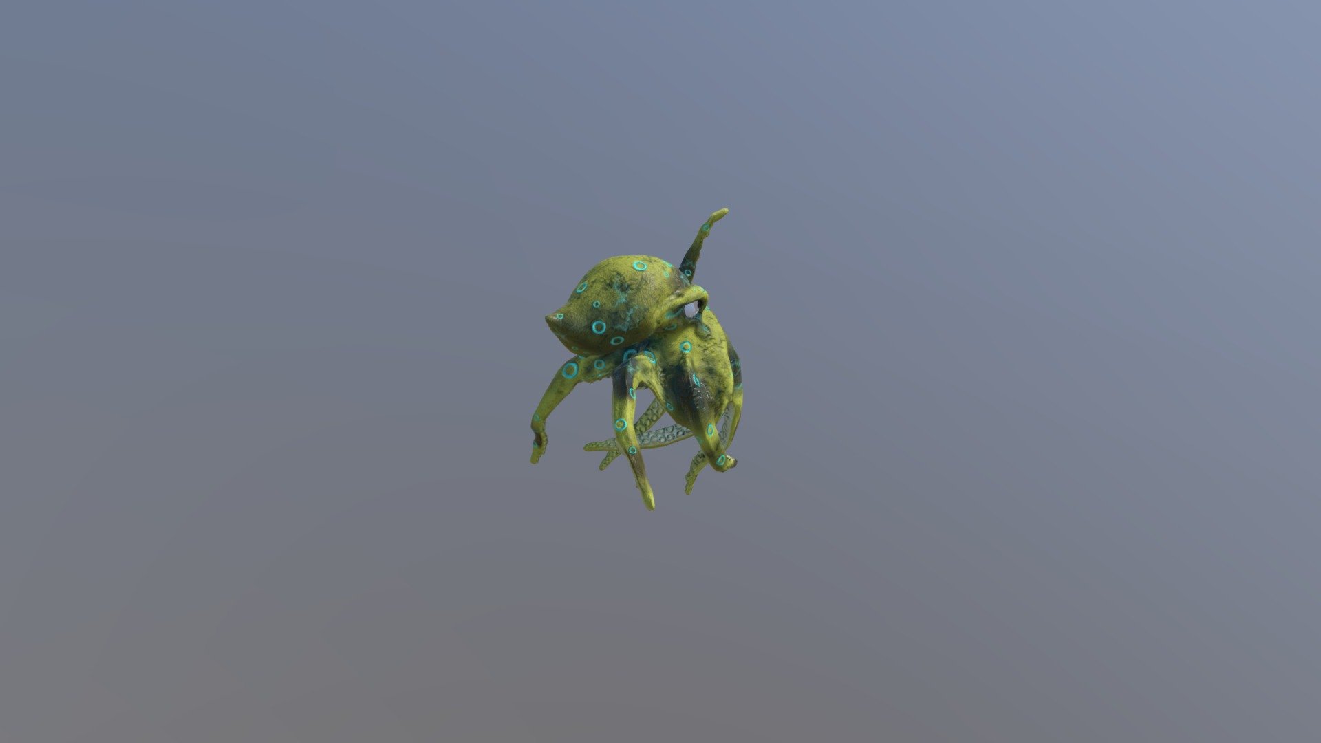 Posed blue-ringed octopus - 3D model by anisle [33ed5ae] - Sketchfab