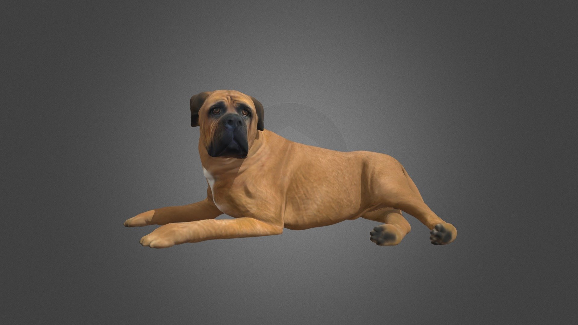Dog_V1 - 3D model by Capture It In 3D (@CaptureMeIn3D) [33faad7 ...