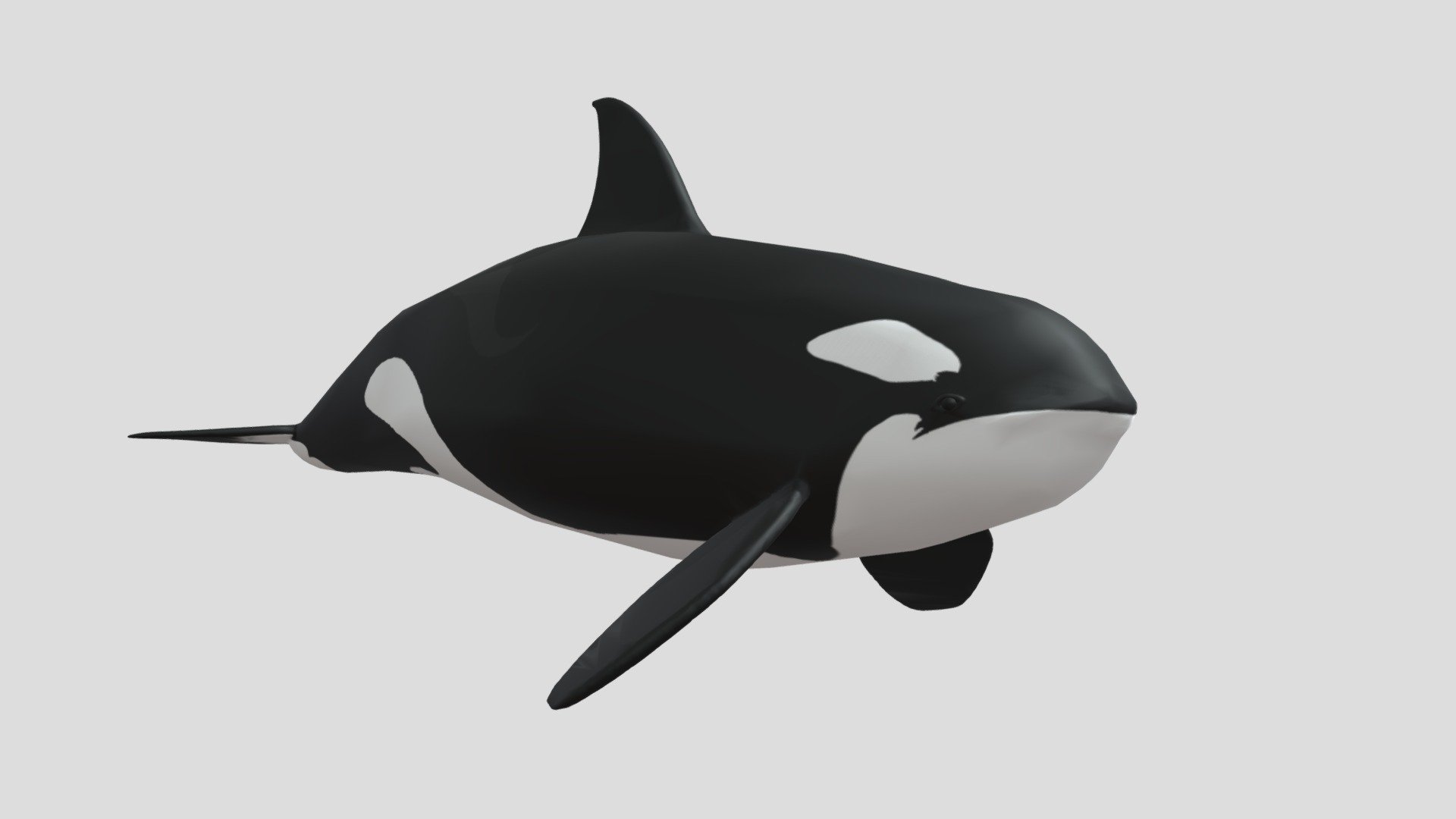 Orca - Download Free 3D model by victorberdugo1 [33fabed] - Sketchfab