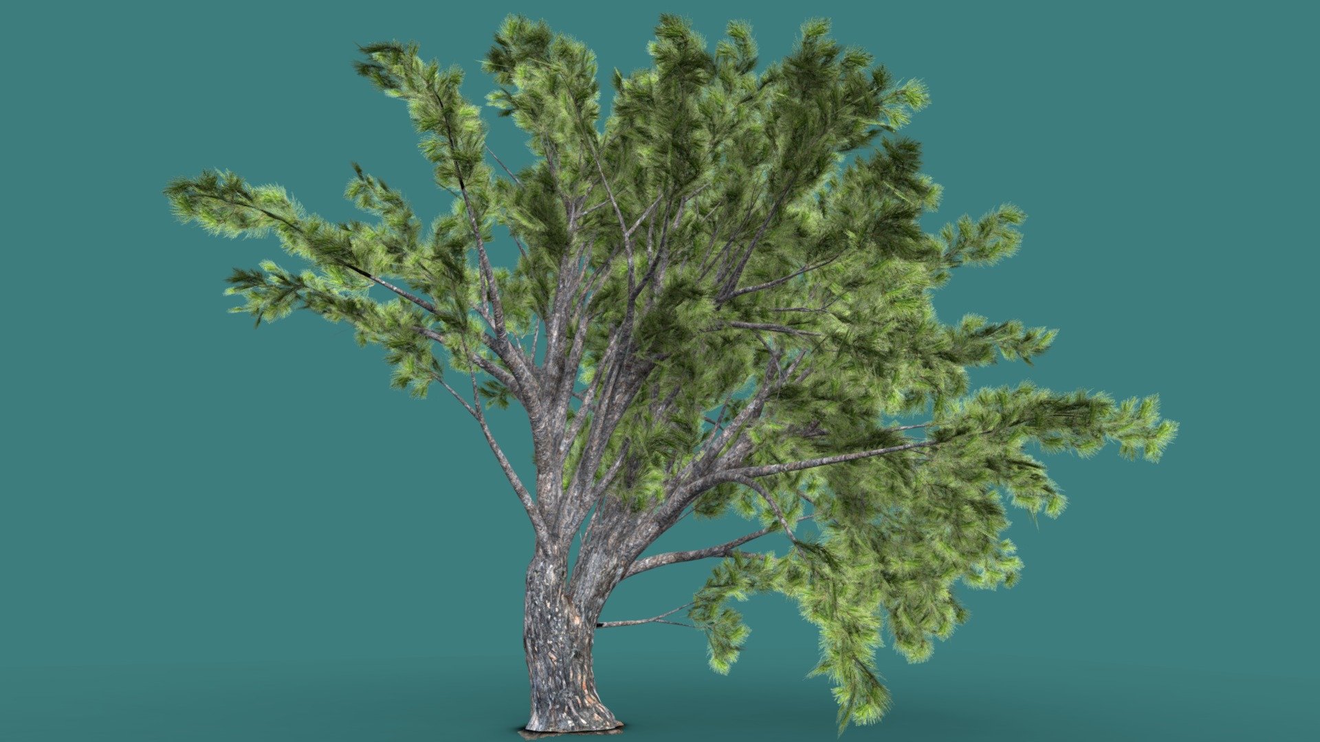 HIGH QUALITY TREE 1/6 - Download Free 3D model by EFX (@evan4129 ...