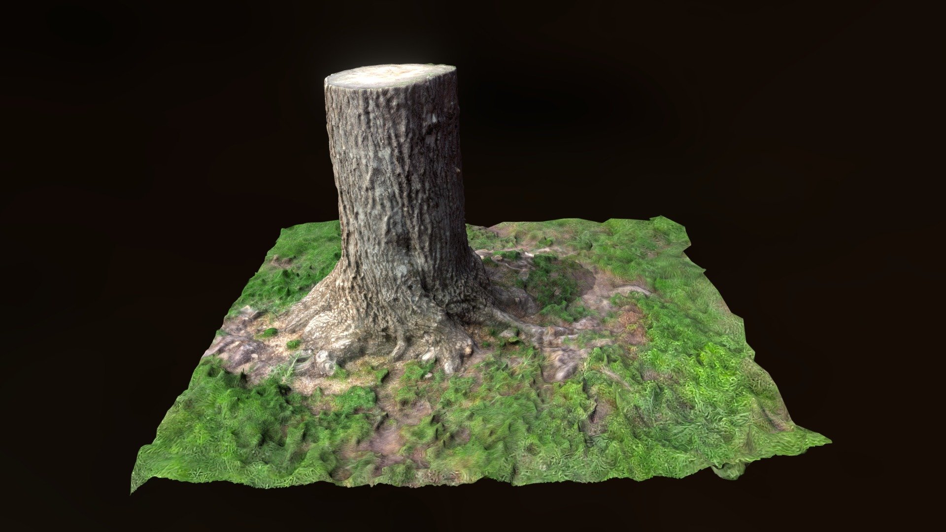 Photoscanned Tree Stump - Download Free 3D model by Martin Ibbett ...