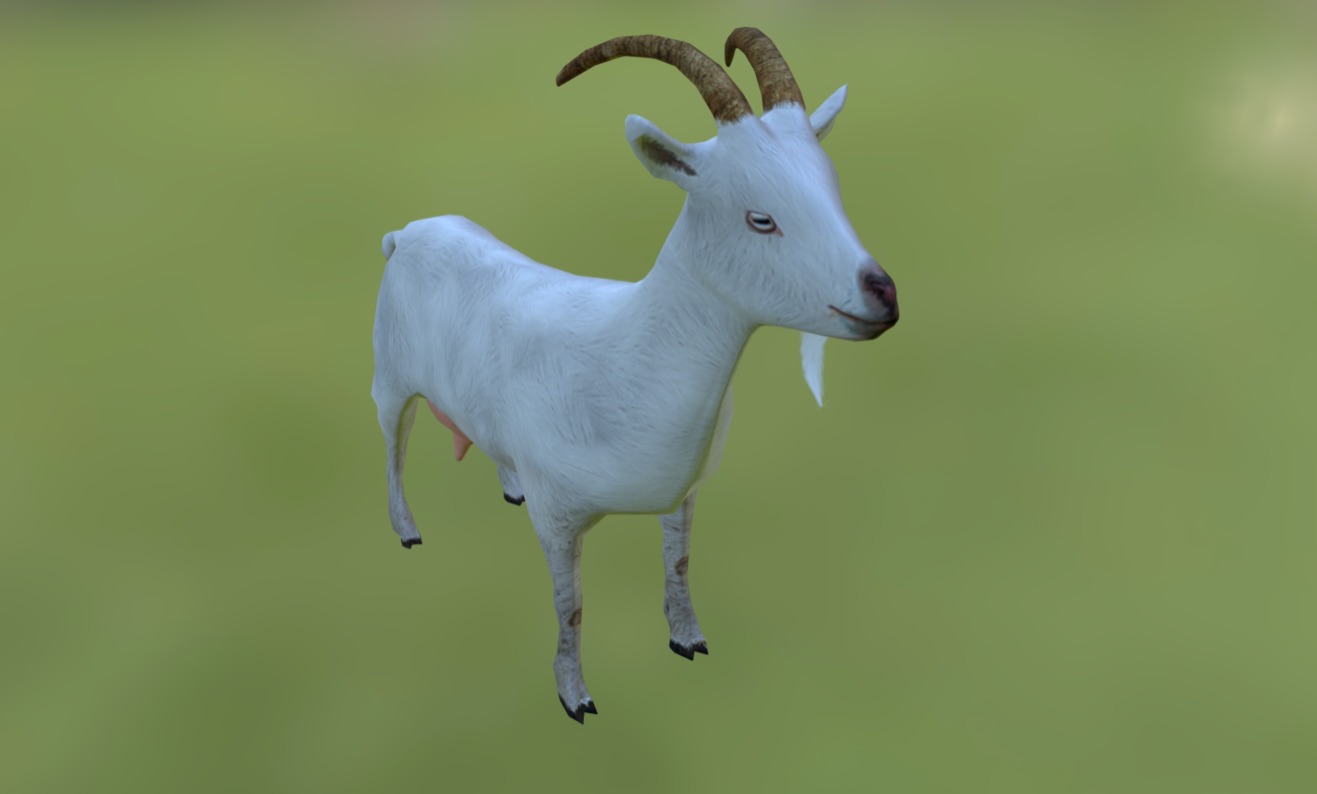 Goat - 3D model by quentin_letren [3412a22] - Sketchfab