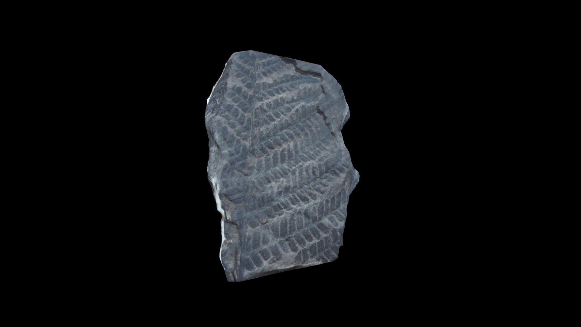 CL_001_078_3_511 - 3D model by john.cardona_r [342703e] - Sketchfab