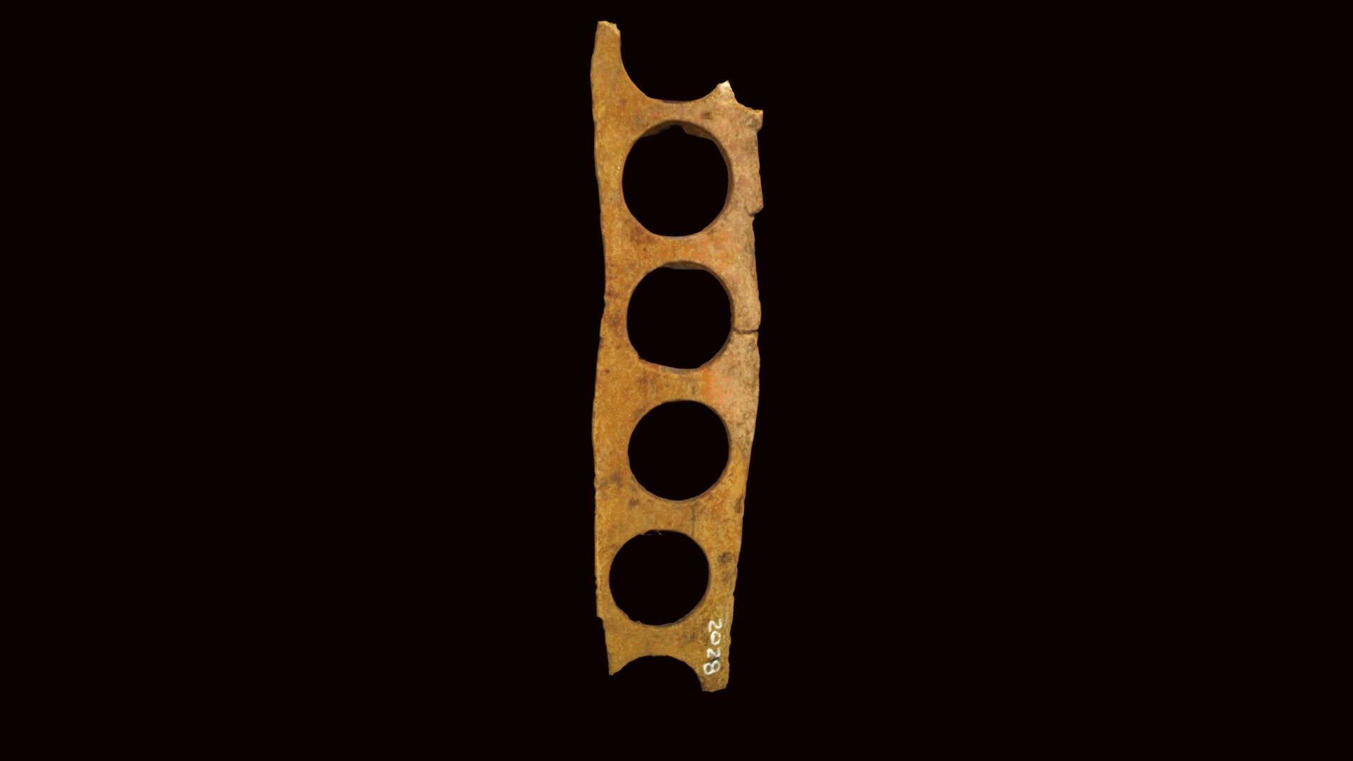 Bone Button Blank (VCU_3D_3365) - Download Free 3D model by Virtual ...