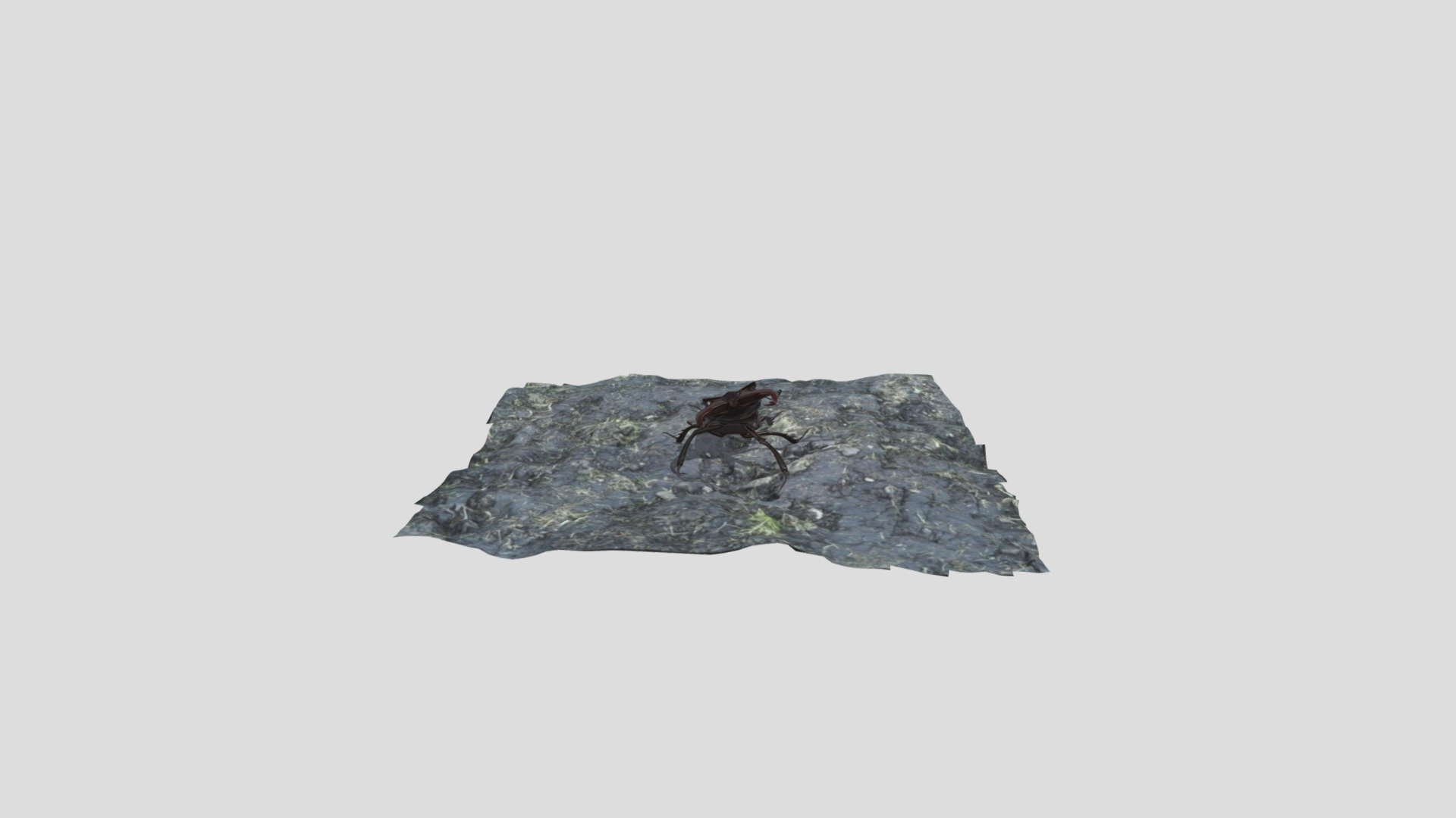 Bug - Download Free 3D model by wady450 [342fad1] - Sketchfab