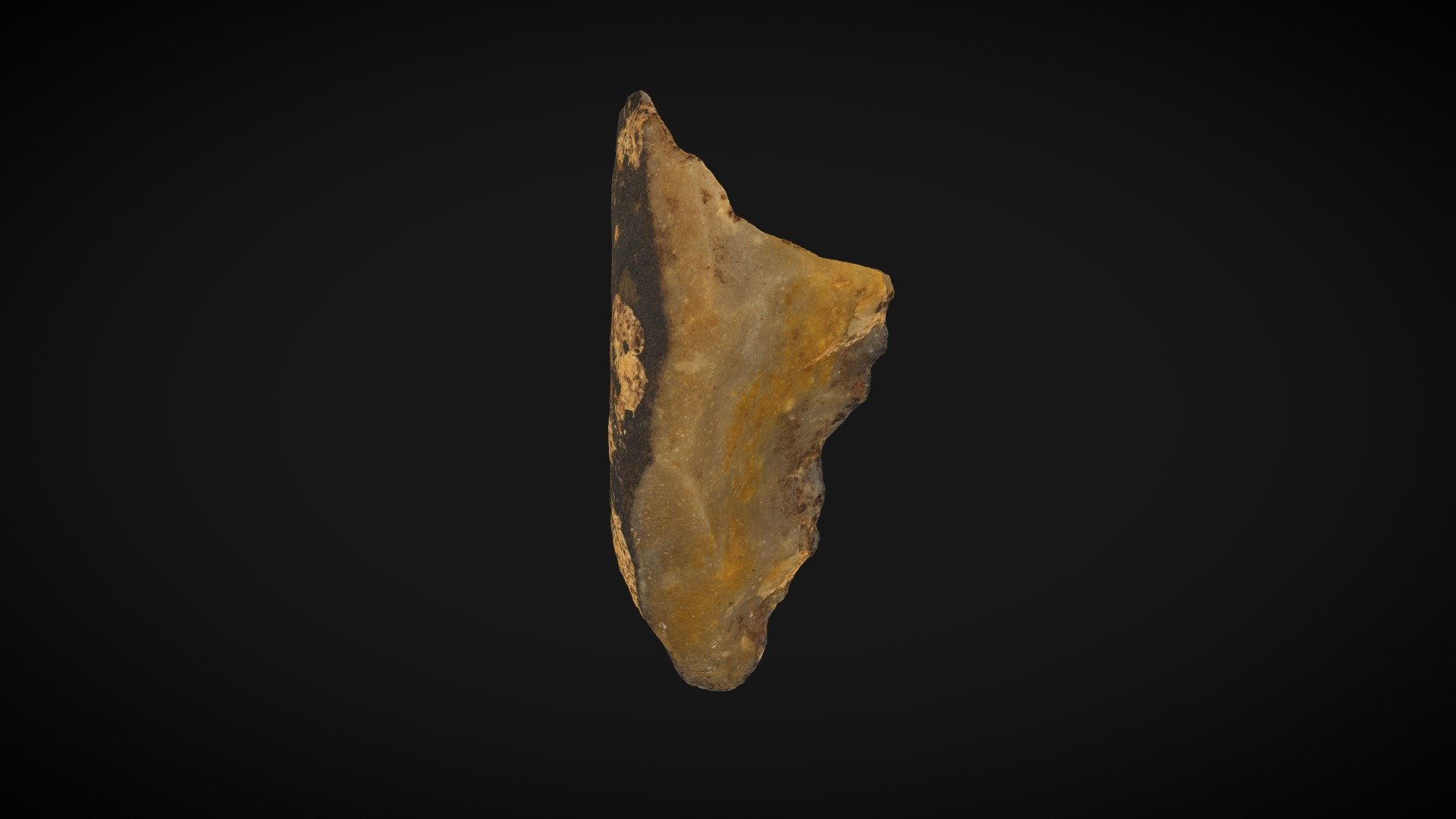 Core-like chopper on pebble (Medzhybizh 1) - 3D model by Naumenko ...