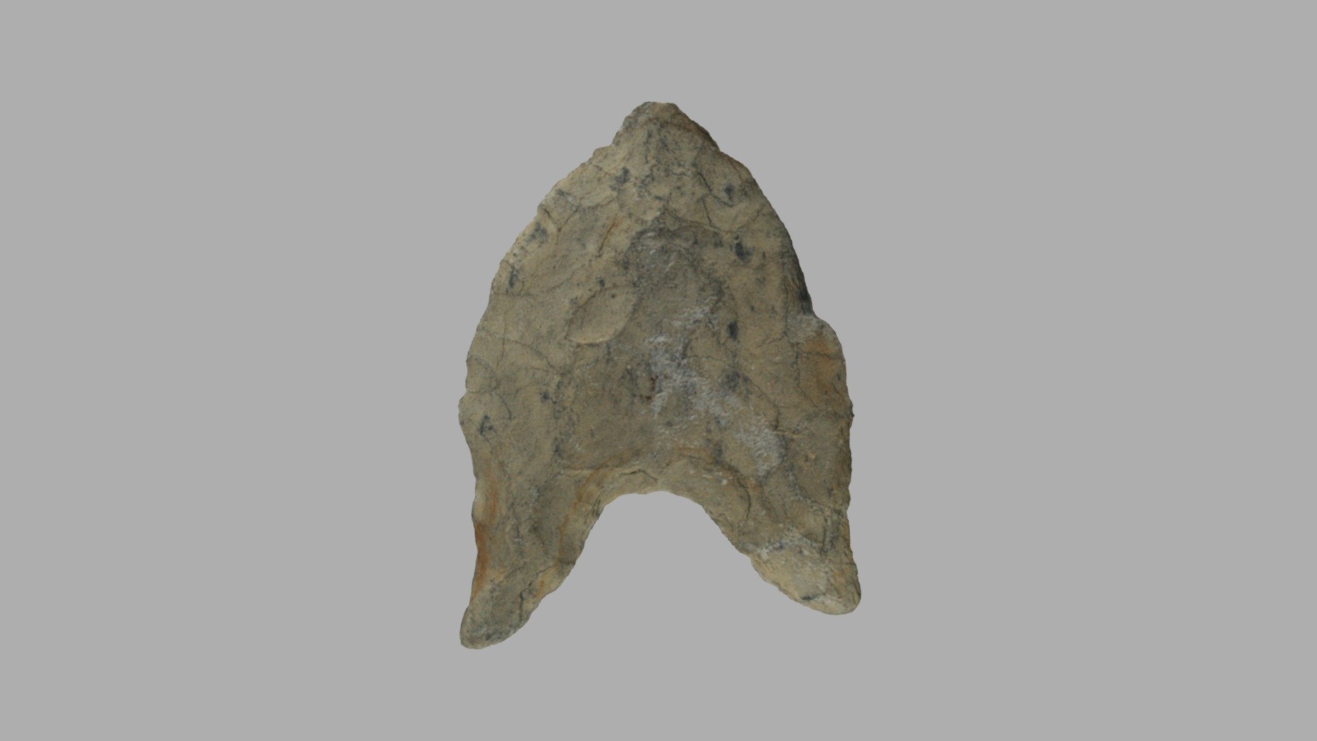 Hardaway-Dalton (NC-162) - Download Free 3D model by NCOfficeofStateArchaeology [3439967 ...