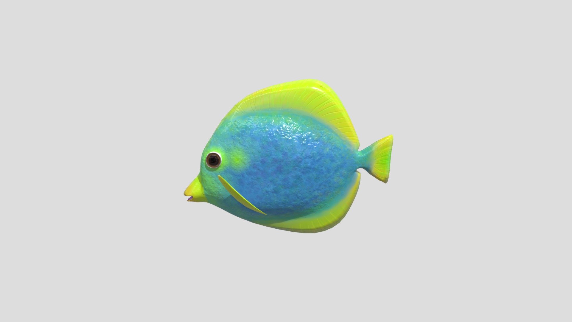 Fish - Download Free 3D model by SamanthaMB [3440371] - Sketchfab