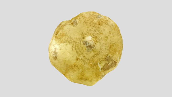 Sha-ge 3D models - Sketchfab